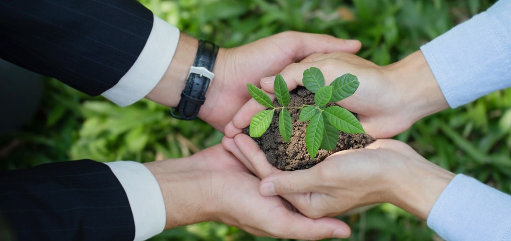 Groei met groen | Groene elektriciteit voor uw bedrijf | ENGIE