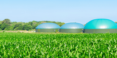 Bijmengverplichting groen gas vanaf 2026 | ENGIE